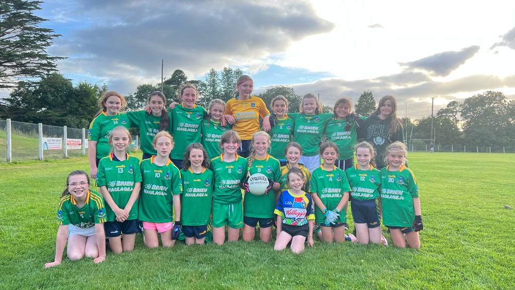 Club Notes: 04-08-2022 – Kilmacabea GAA